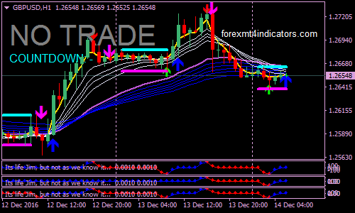 ピンクFX取引システム - ForexNihon.com